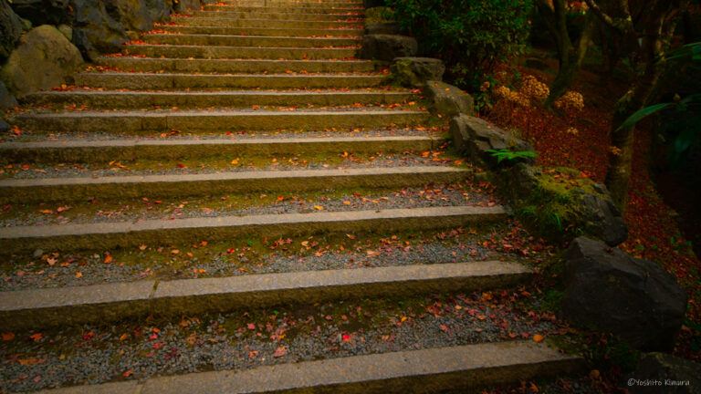 和風・日本のスケール(音階)のモード(旋法) まとめ | KHUFRUDAMO NOTES – Official Web Site